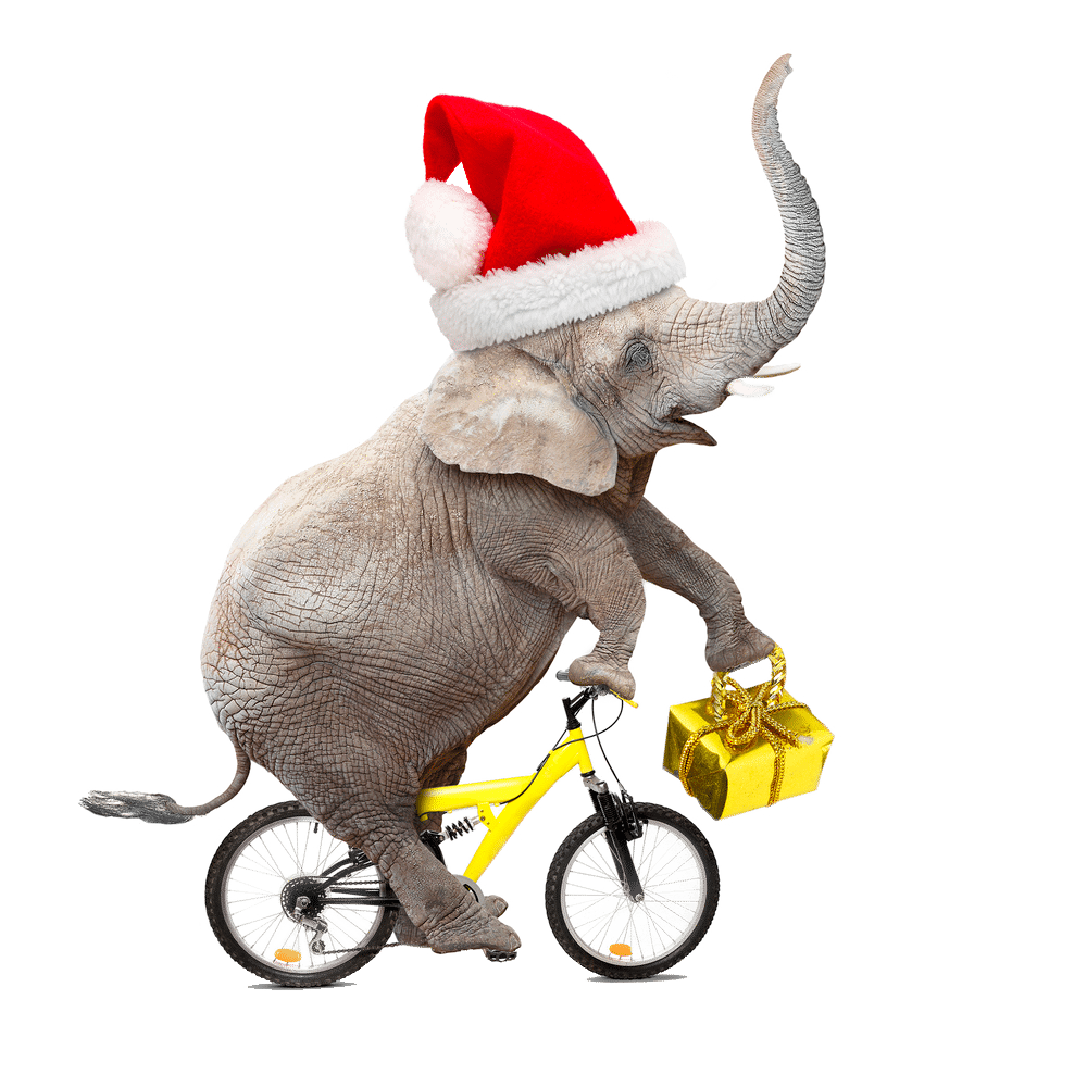 Capite Corpus, organisme de formations professionnelles